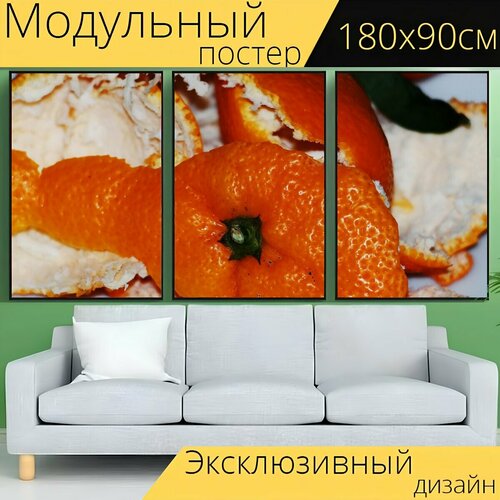 Модульный постер "Апельсиновая корка, оболочка, апельсин" 180 x 90 см. для интерьера