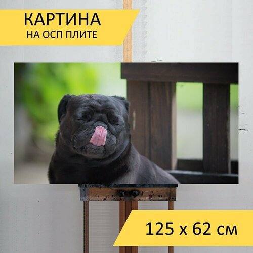 Картина на ОСП 125х62 см. "Бульдог, собака, домашнее животное" горизонтальная, для интерьера, с креплениями