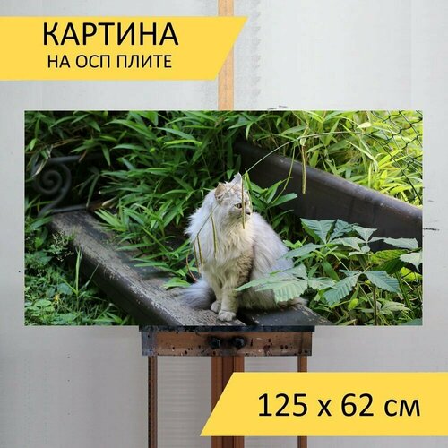 Картина на ОСП 125х62 см. "Длинношерстная кошка, скамейка, заросший сад" горизонтальная, для интерьера, с креплениями