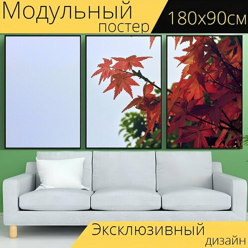 Модульный постер "Кленовые листья, осень, фильм" 180 x 90 см. для интерьера