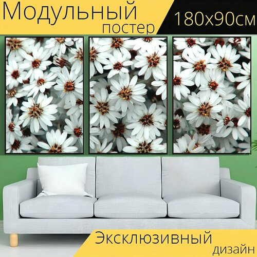Модульный постер "Цветы, белый, белые цветки" 180 x 90 см. для интерьера
