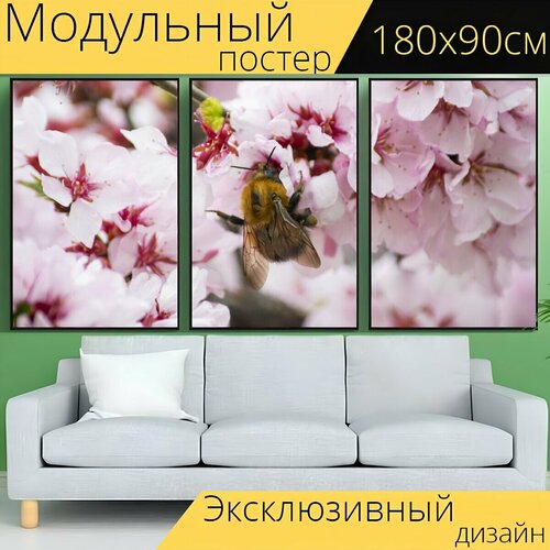 Модульный постер "Вишня, цветы, весна" 180 x 90 см. для интерьера