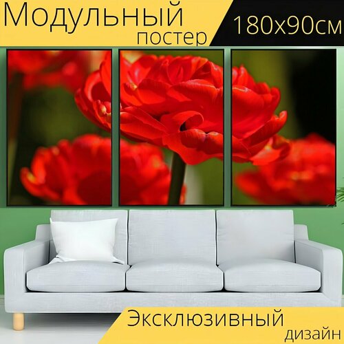 Модульный постер "Красные тюльпаны, розовые тюльпаны, начало весны" 180 x 90 см. для интерьера