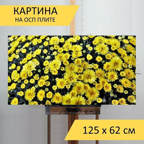 Картина на ОСП 125х62 см. "Цветы, желтый, хризантемы" горизонтальная, для интерьера, с креплениями
