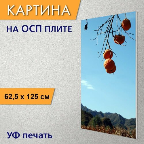 Вертикальная картина на ОСП "Хурма, осень, фрукты" 62x125 см. для интерьериа