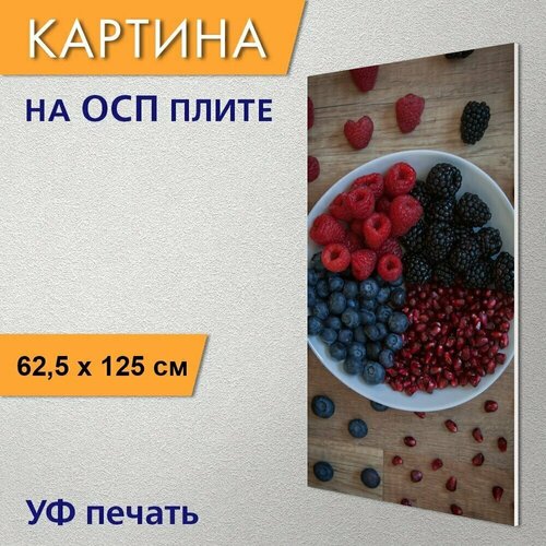 Вертикальная картина на ОСП "Фрукты, ягоды, малина" 62x125 см. для интерьериа