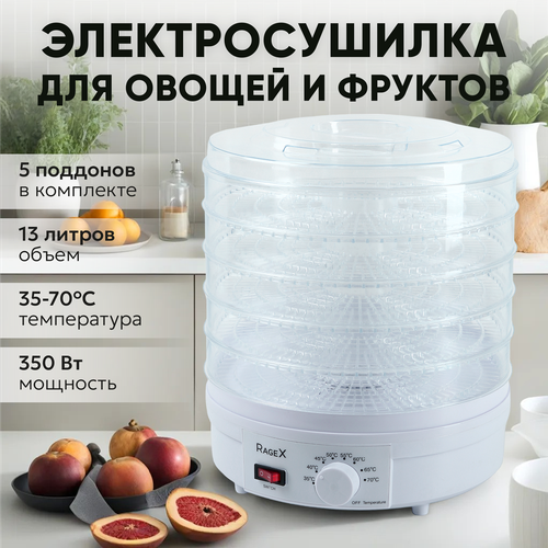 Сушилка для овощей и фруктов R301-100, 13 литров, 5 секций, 350Вт, белая