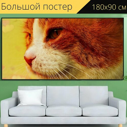 Большой постер "Кошка, руди, портрет" 180 x 90 см. для интерьера