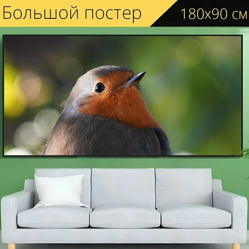 Большой постер "Робин, птица, животное" 180 x 90 см. для интерьера