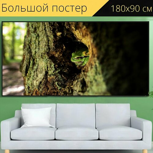 Большой постер "Древесная лягушка, лес, скрытый" 180 x 90 см. для интерьера