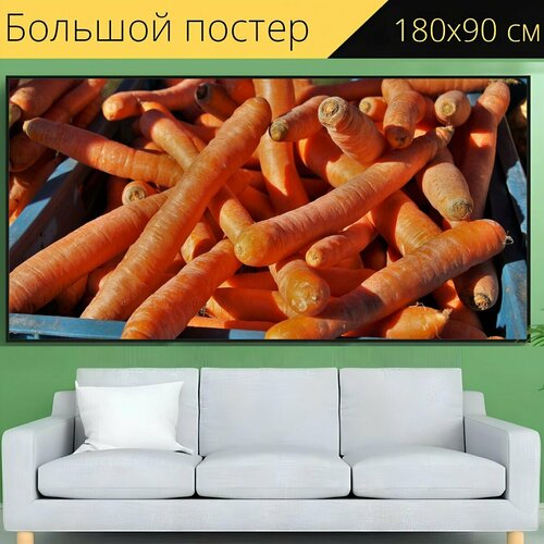 Большой постер "Морковь, свежий, корневая" 180 x 90 см. для интерьера