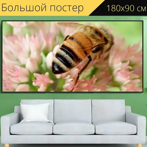 Большой постер "Пчела, насекомое, цветочная пыльца" 180 x 90 см. для интерьера