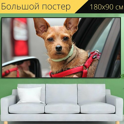 Большой постер "Собака, маленькая собака, окно машины" 180 x 90 см. для интерьера