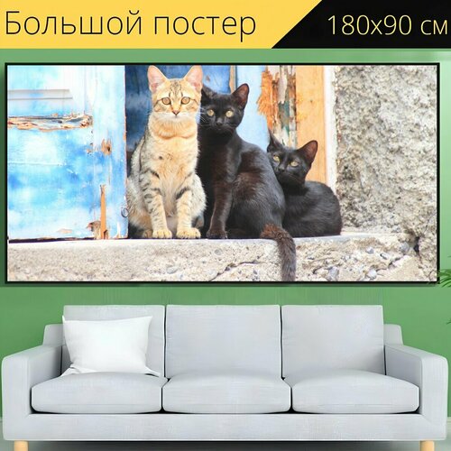 Большой постер "Кошки, животное, молодой кот" 180 x 90 см. для интерьера