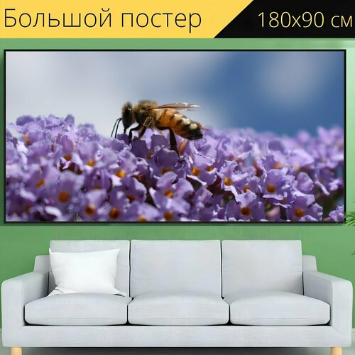 Большой постер "Пчела, макрос, фиолетовый" 180 x 90 см. для интерьера