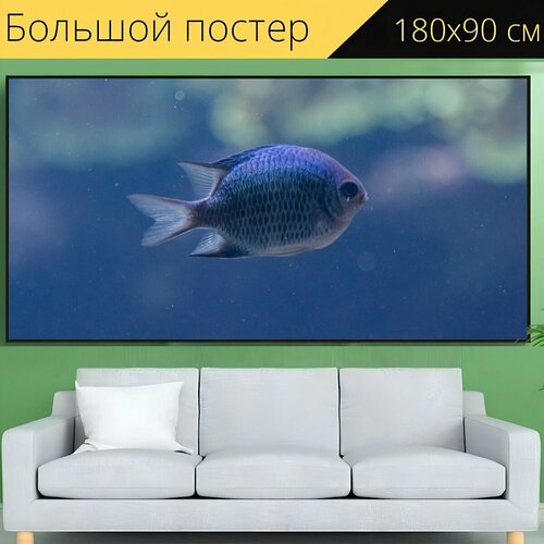 Большой постер "Рыбы, аквариум, зоопарк" 180 x 90 см. для интерьера