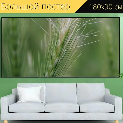 Большой постер "Пшеница, поле, сельское хозяйство" 180 x 90 см. для интерьера