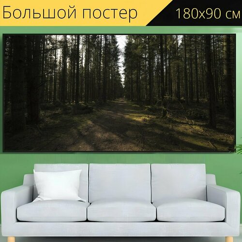 Большой постер "Лес, лесная тропа, дорожка" 180 x 90 см. для интерьера