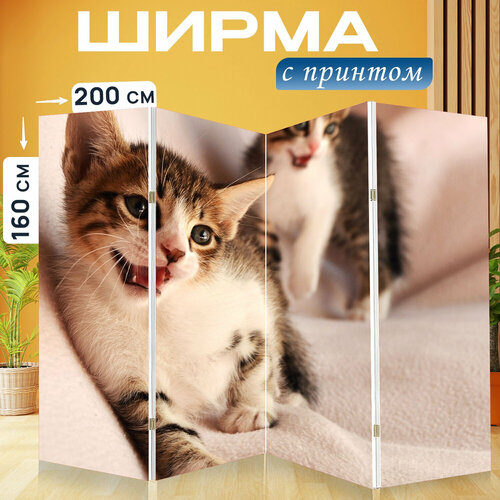 Ширма перегородка с принтом "Кошки, счастливый, два" на холсте - 200x160 см. для зонирования, раскладная