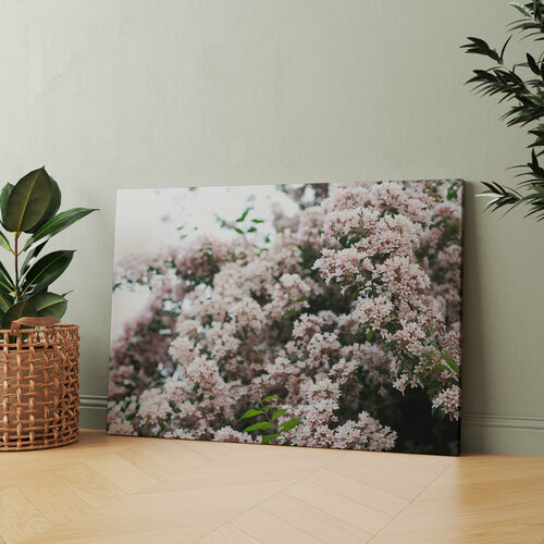 Картина на холсте (Цветущий куст, растение, цветы, природа) 40 60 см/для интерьера/в комнату/на стену/в подарок