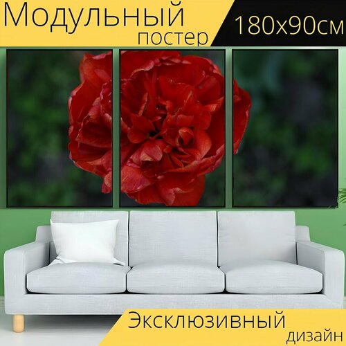 Модульный постер "Тюльпан, красный, сад" 180 x 90 см. для интерьера