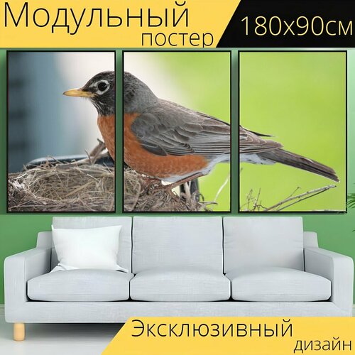 Модульный постер "Робин, птица, дикая природа" 180 x 90 см. для интерьера