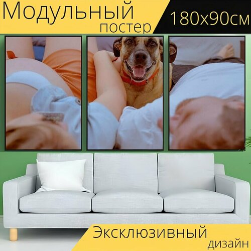 Модульный постер "Поза, собака, одомашненный" 180 x 90 см. для интерьера