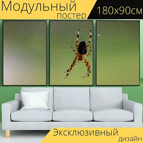 Модульный постер "Паук, паутина, насекомое" 180 x 90 см. для интерьера