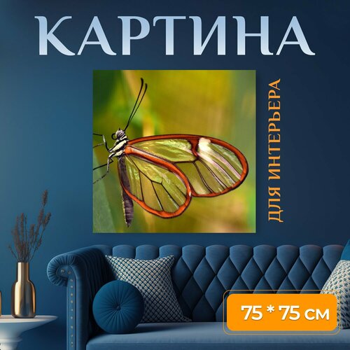 Картина на холсте "Бабочка, стеклянные крылья, грета ото" на подрамнике 75х75 см. для интерьера