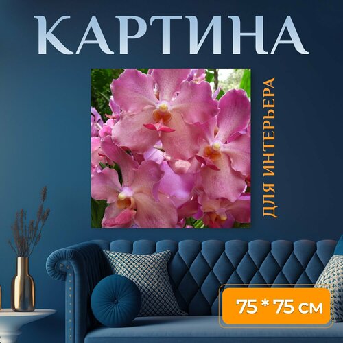 Картина на холсте "Орхидея, розовый, тропический" на подрамнике 75х75 см. для интерьера