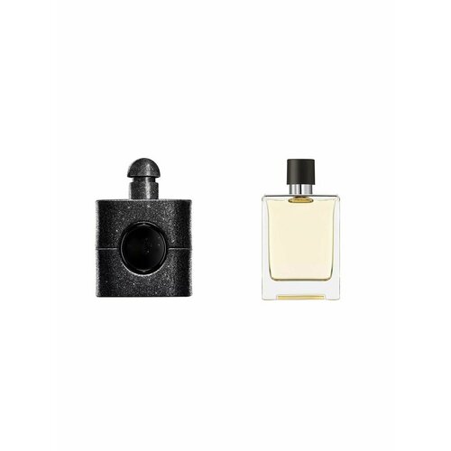 Подарочный набор для неё и для него по мотивам Yves Saint Laurent Black Opium, Hermes Terre D'Hermes 2 по 10 мл