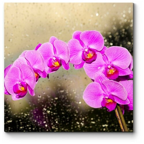 Модульная картина Роскошная орхидея 90x90