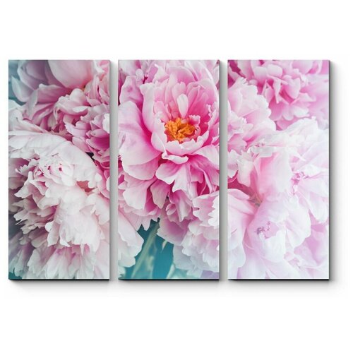 Модульная картина Нежно-розовые пионы 130x93