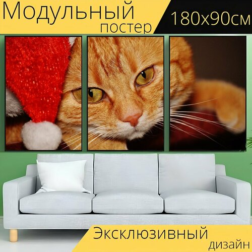 Модульный постер "Кот, похмелье, красный" 180 x 90 см. для интерьера