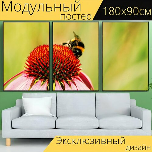 Модульный постер "Пчела, насекомое, эхина" 180 x 90 см. для интерьера