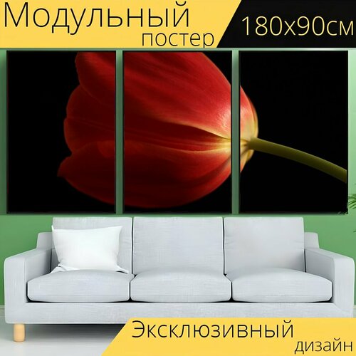 Модульный постер "Тюльпан, тюльпаны, красный" 180 x 90 см. для интерьера
