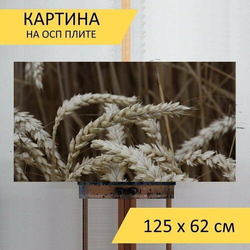 Картина на ОСП 125х62 см. "Пшеница, поле пшеницы, посевы пшеницы" горизонтальная, для интерьера, с креплениями
