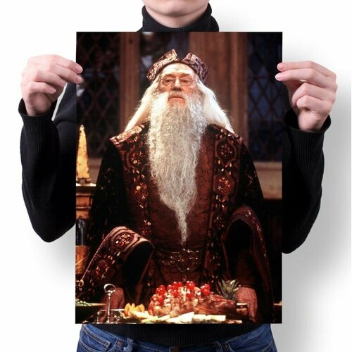 Плакат Harry Potter, Гарри Поттер №9, А3