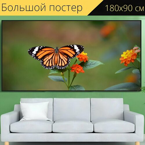 Большой постер "Тигр тигр бабочка, крылья, летать" 180 x 90 см. для интерьера