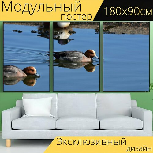 Модульный постер "Животное, озеро, птица" 180 x 90 см. для интерьера