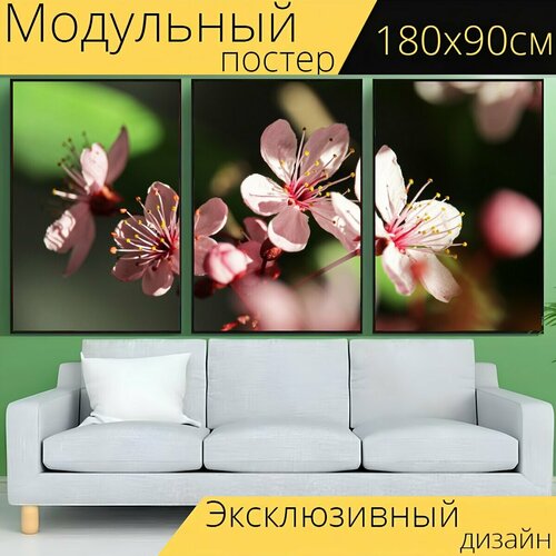 Модульный постер "Весна, декоративная вишня, вишни в цвету" 180 x 90 см. для интерьера