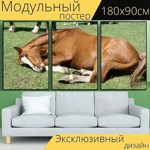 Модульный постер "Лошадь, укладка, луг" 180 x 90 см. для интерьера