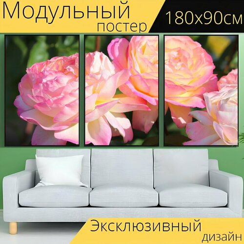Модульный постер "Розовые розы, розы, цвести" 180 x 90 см. для интерьера