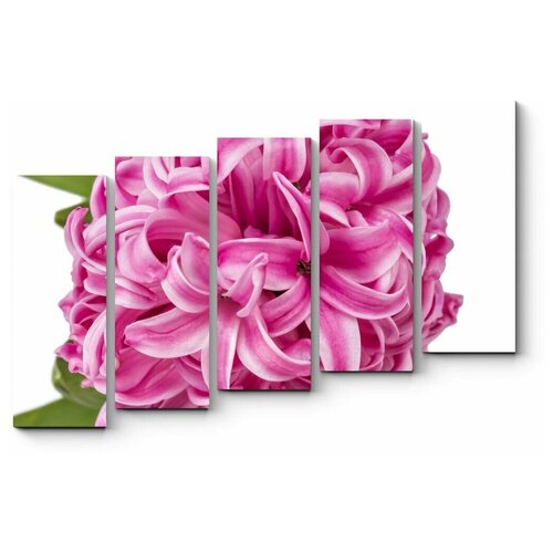 Модульная картина Розовый гиацинт 100x70