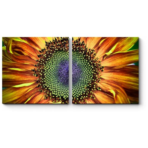 Модульная картина Внутри цветка солнца 170x85