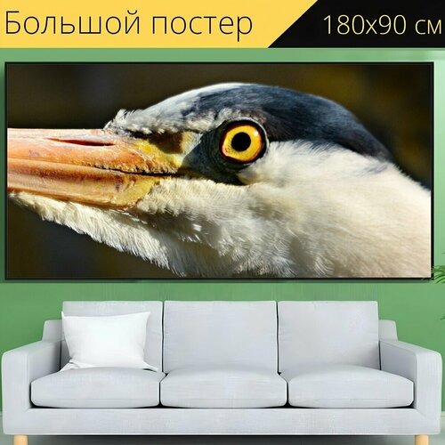 Большой постер "Цапля, болотная птица, животное" 180 x 90 см. для интерьера