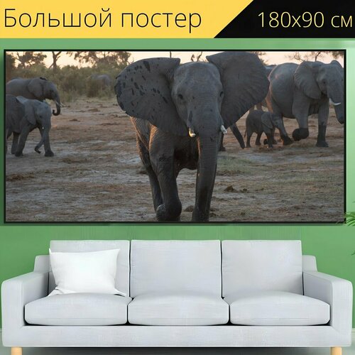 Большой постер "Слоны, животные, африке" 180 x 90 см. для интерьера
