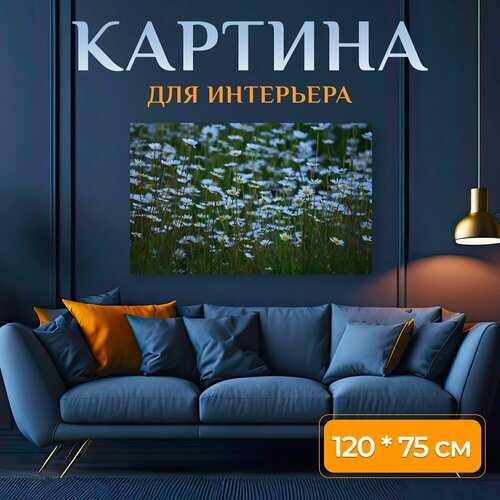 Картина на холсте "Цветы, ромашки, весна" на подрамнике 120х75 см. для интерьера