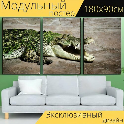 Модульный постер "Аллигатор, животное, дикая природа" 180 x 90 см. для интерьера