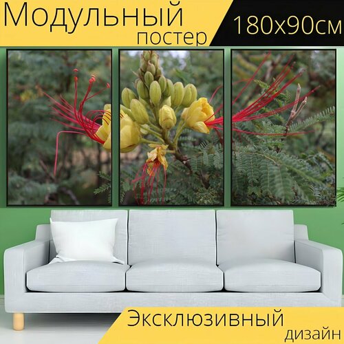 Модульный постер "Цветы, тычинки красный, желтые цветы" 180 x 90 см. для интерьера